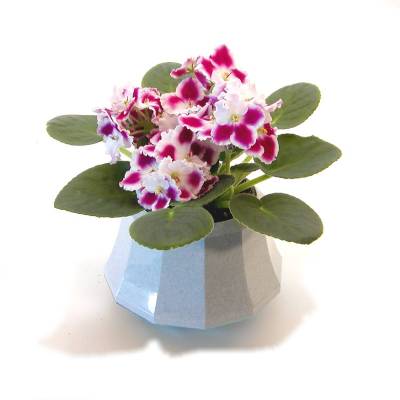 Optimara: Plant Care Products